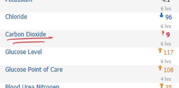 Bicarbonate (Carbon Dioxide/CO2) on Serum BMP & Blood Gases/ABG